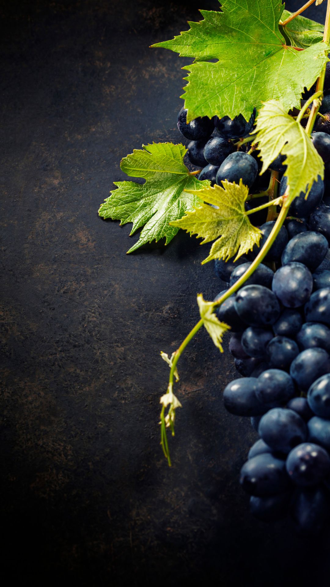 50+ purple grapes wallpaper
